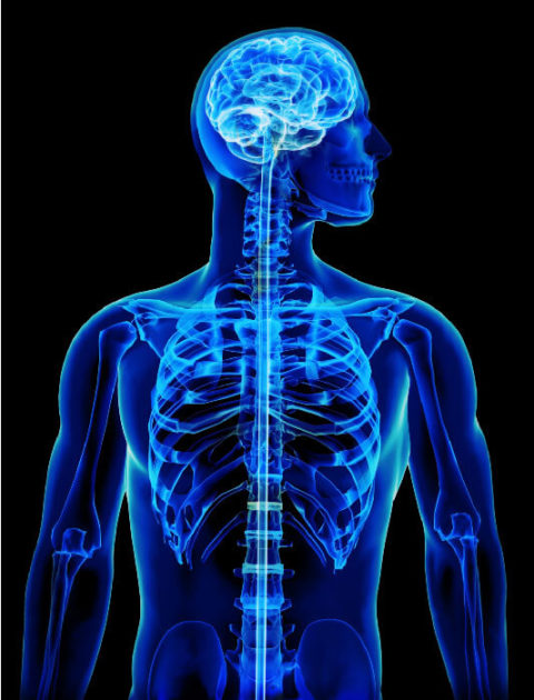 Institute of General and Endovascular Neurosurgery | At the Forefront ...